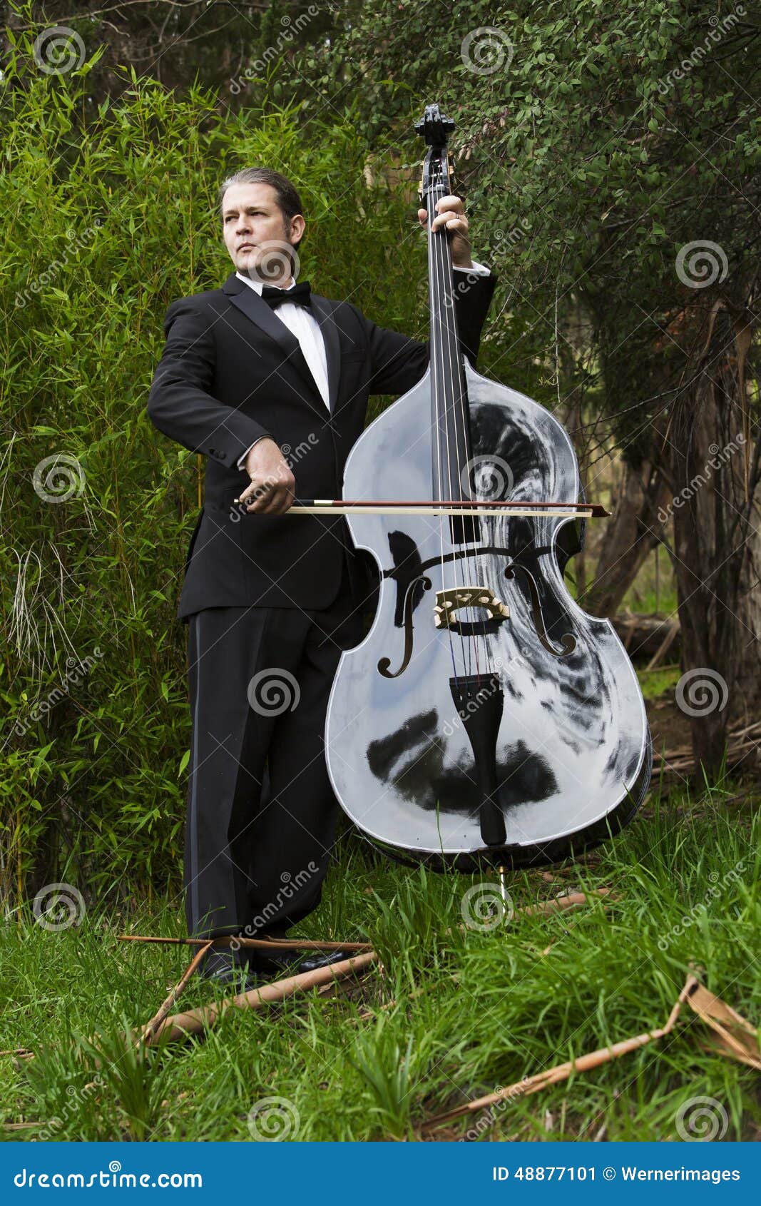 Man Playing the Double Bass in Park Stock Image - Image of caucasian ...