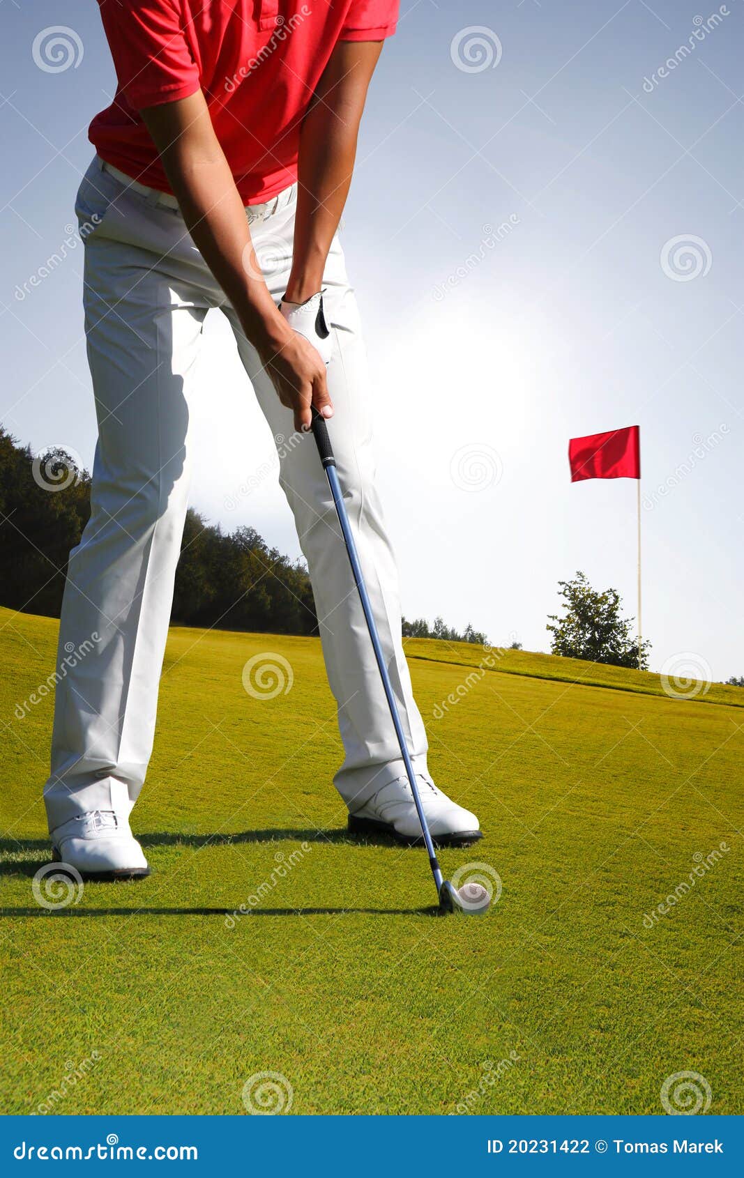 Man playing golf stock photo. Image of exercise, country - 20231422