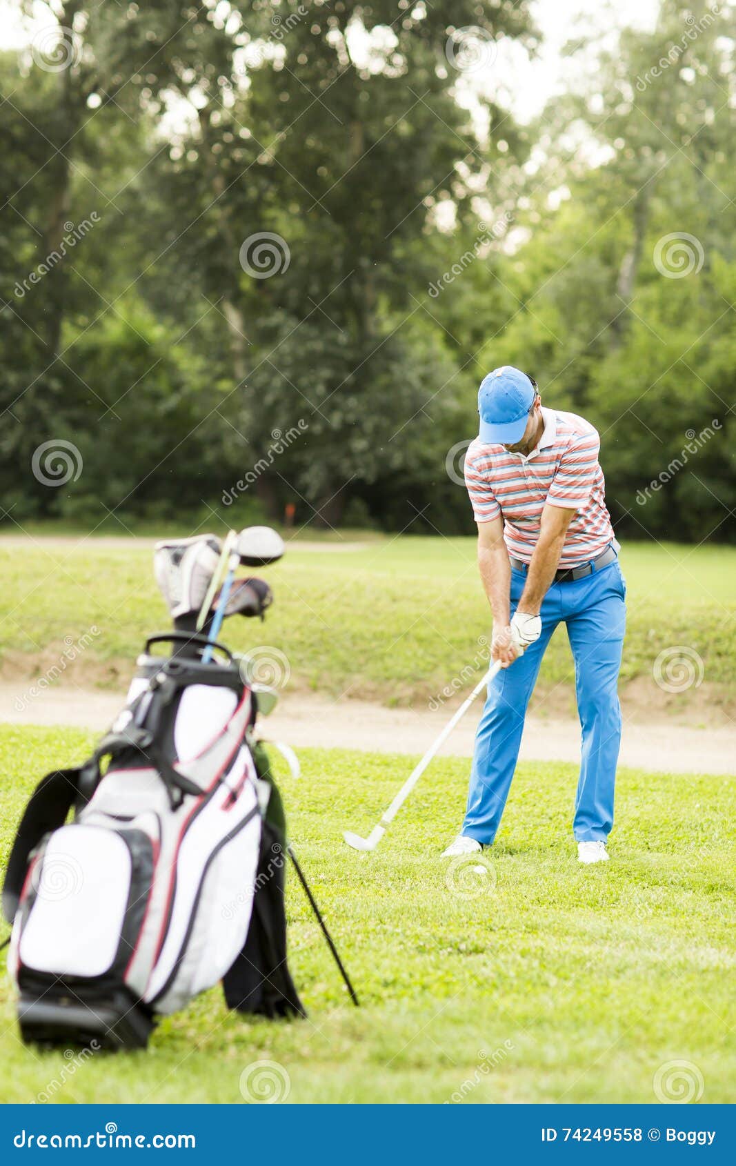 Man playing golf stock photo. Image of grass, sport, active - 74249558