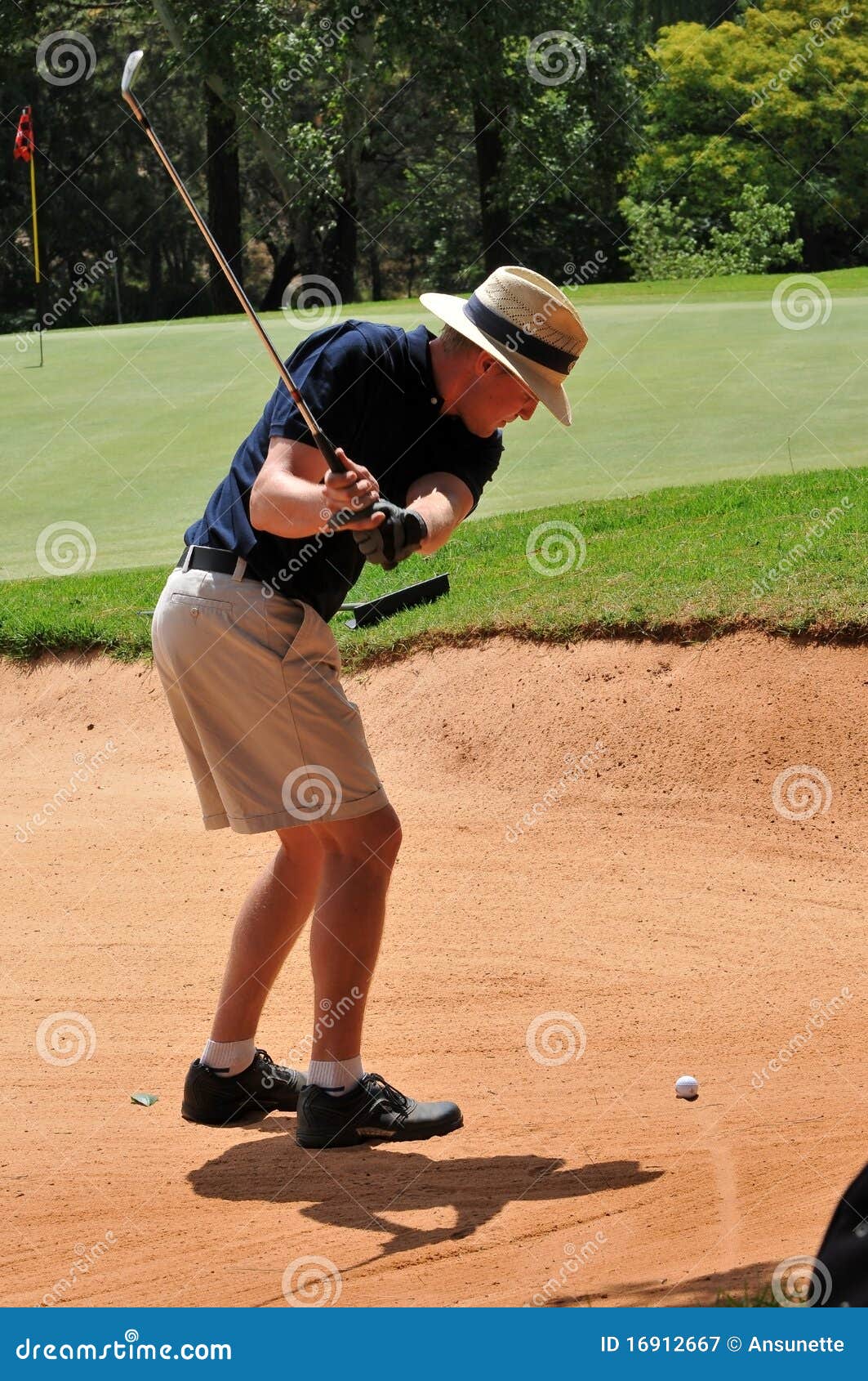Man Playing Golf Shot Out of Sand Bunker on Green Stock Image - Image ...