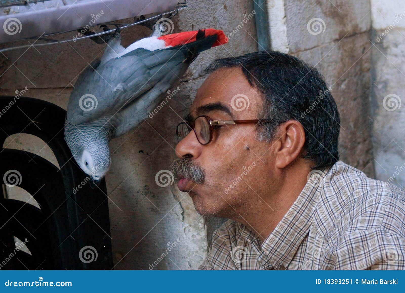Man Playing with His Parrot. Editorial Photo - Image of city, playing ...