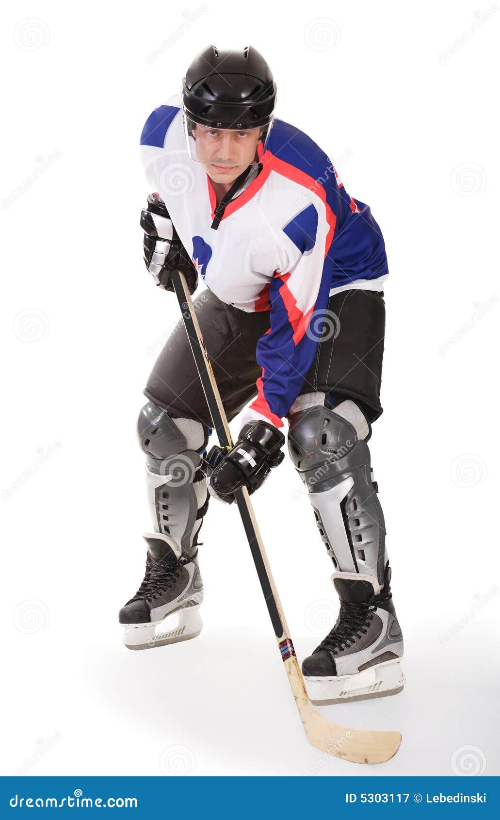 Man playing hockey stock image. Image of guard, rugged - 5303117