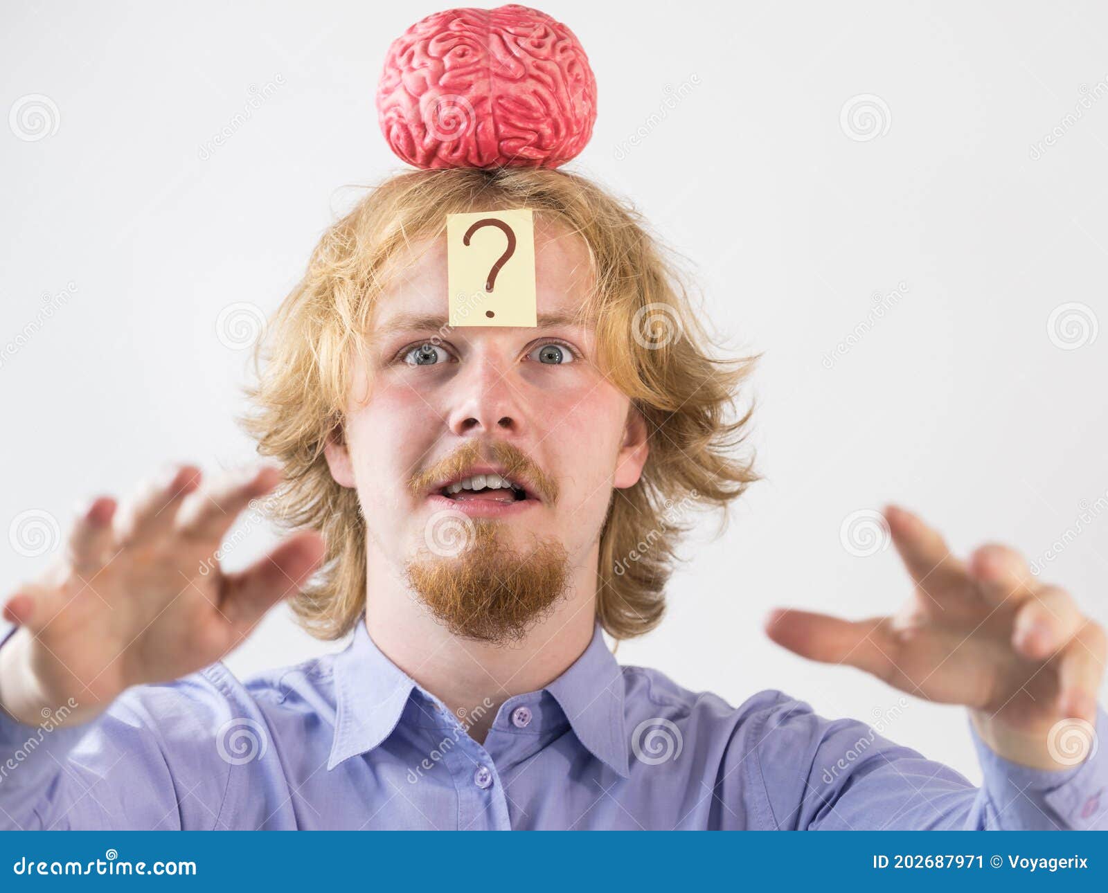 Man Playing with Human Brain Stock Image - Image of intelligence ...