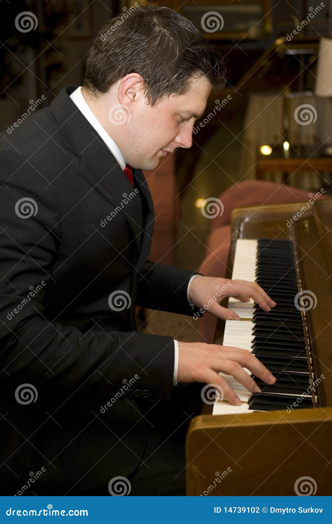 Man playing piano stock photo. Image of adult, activity - 14739102