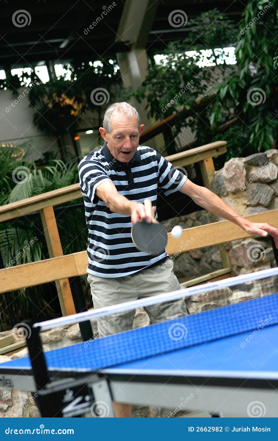 Man playing tabletennis stock photo. Image of competition - 2662982