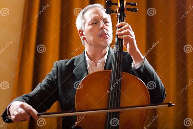 Man playing viola stock image. Image of professional - 39792939