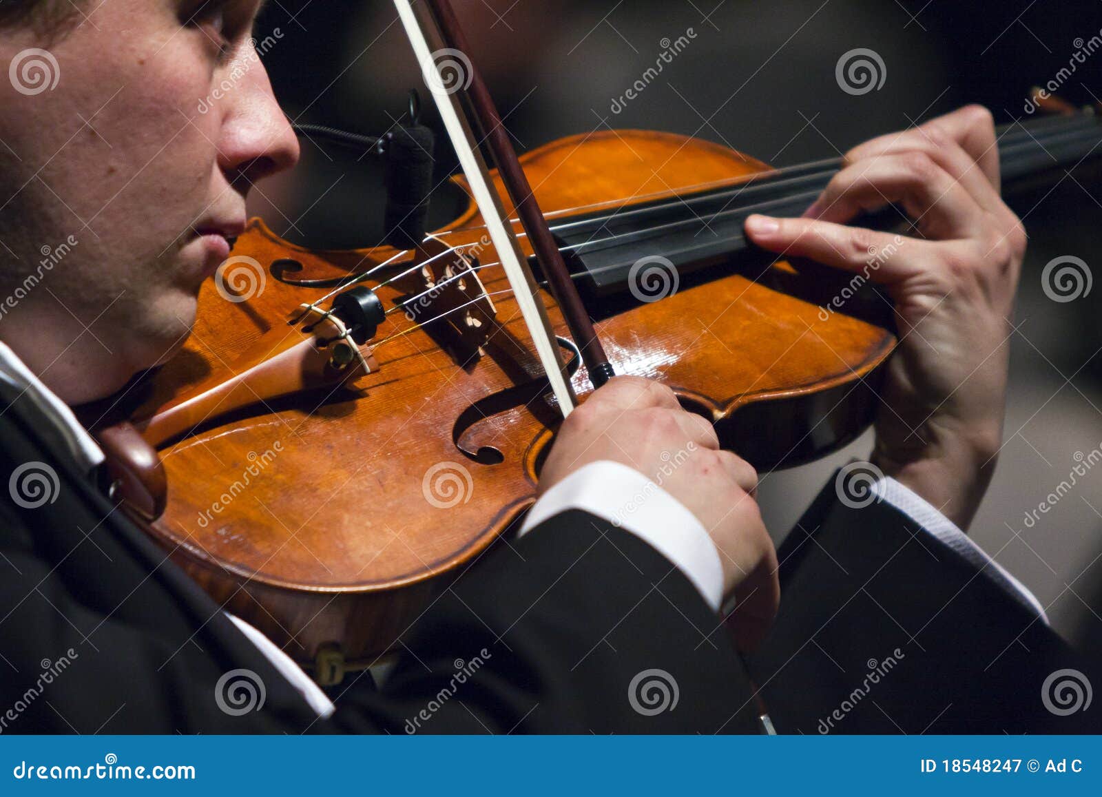 Man Playing the Violin at the Vienna Ball Editorial Photography - Image ...