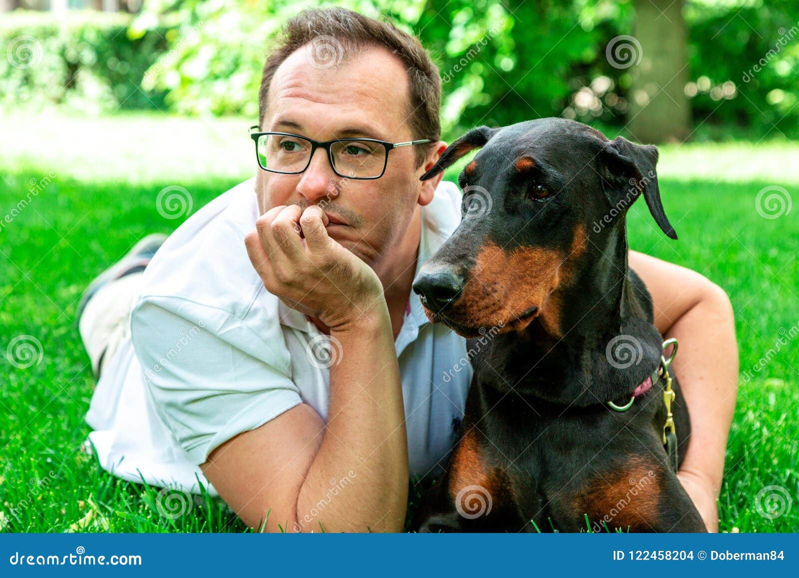 Man Plays in the Park with Dobermann Stock Photo - Image of dobermann ...