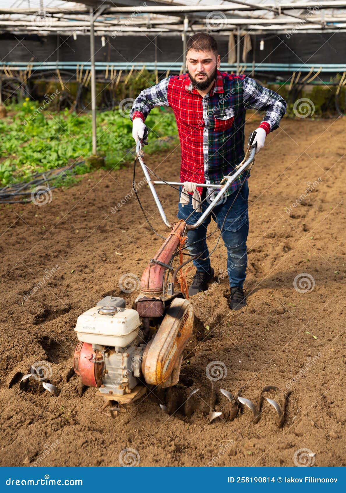 Man Plowing Ground with Cultivator Stock Photo - Image of ground ...