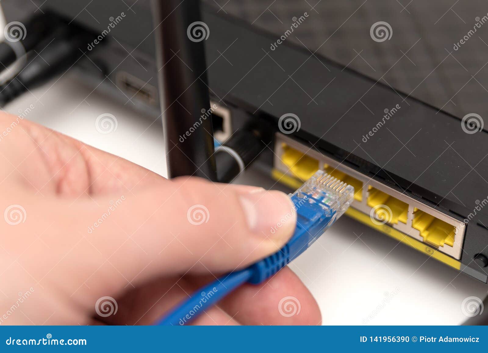 Man Plugs Internet Cable into the Router Stock Photo - Image of black ...