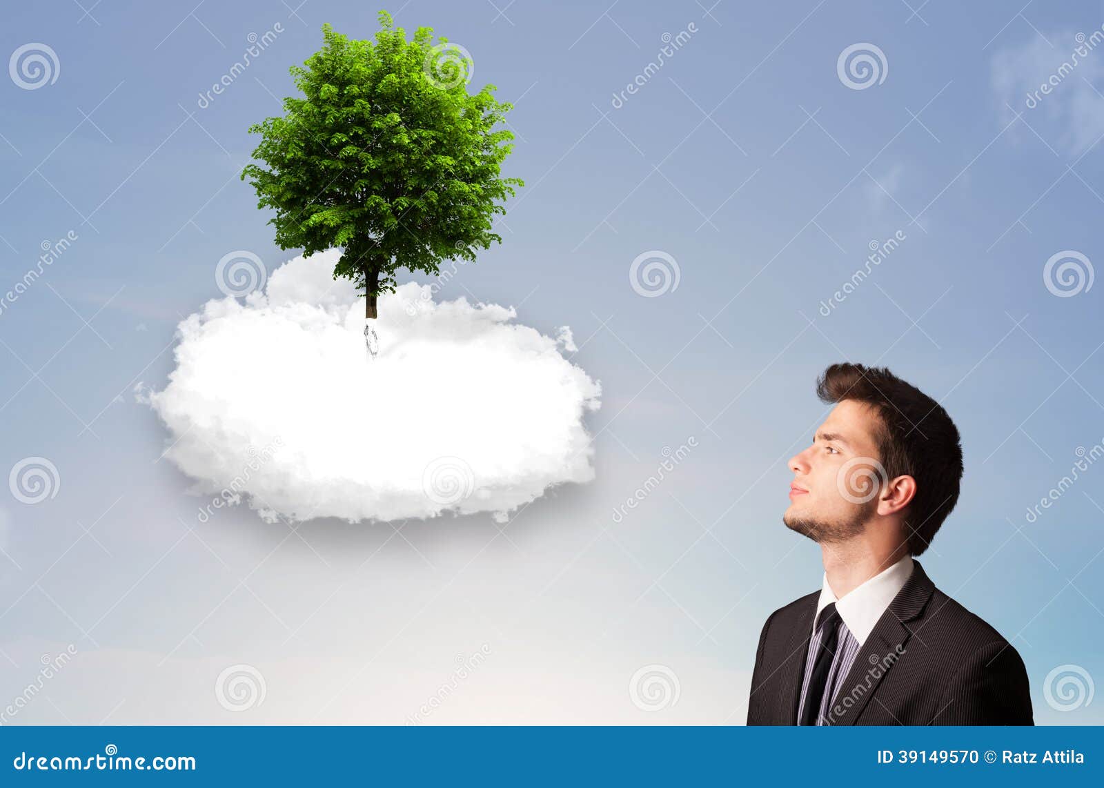 Man Pointing at a Green Tree Stock Photo - Image of bright, natural ...