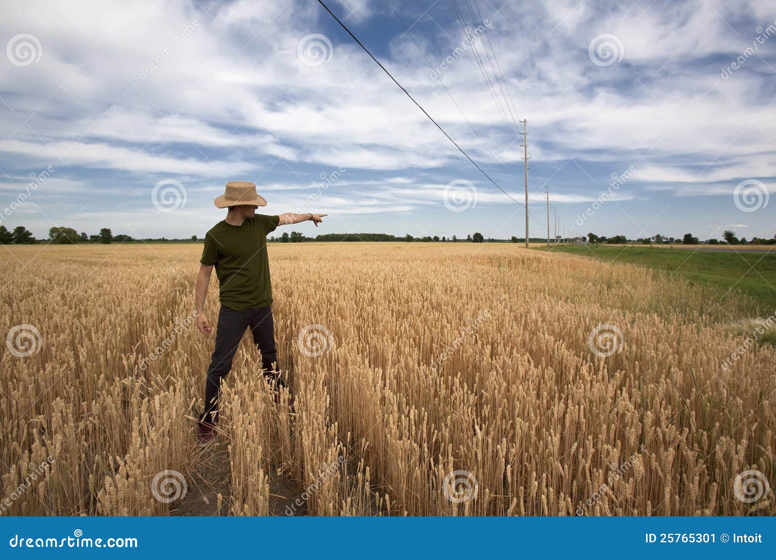 Man Pointing that Way stock image. Image of stance, power - 25765301