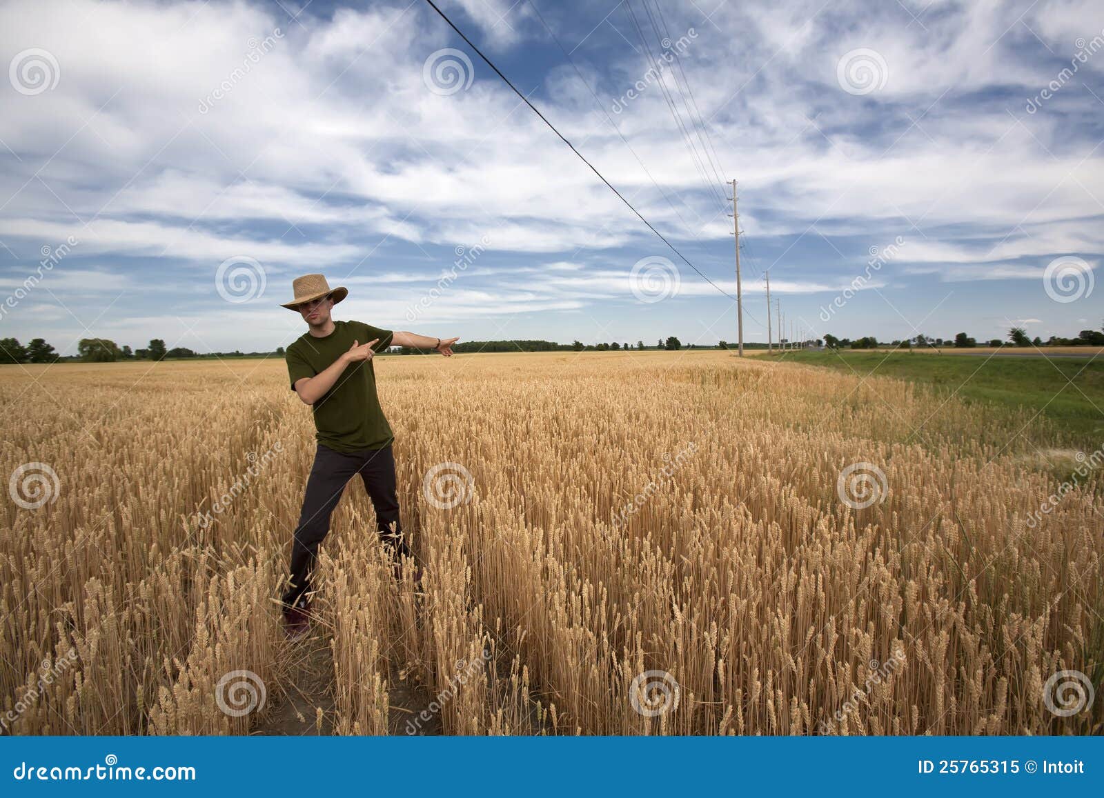 Man Pointing that Way stock image. Image of farmer, male - 25765315