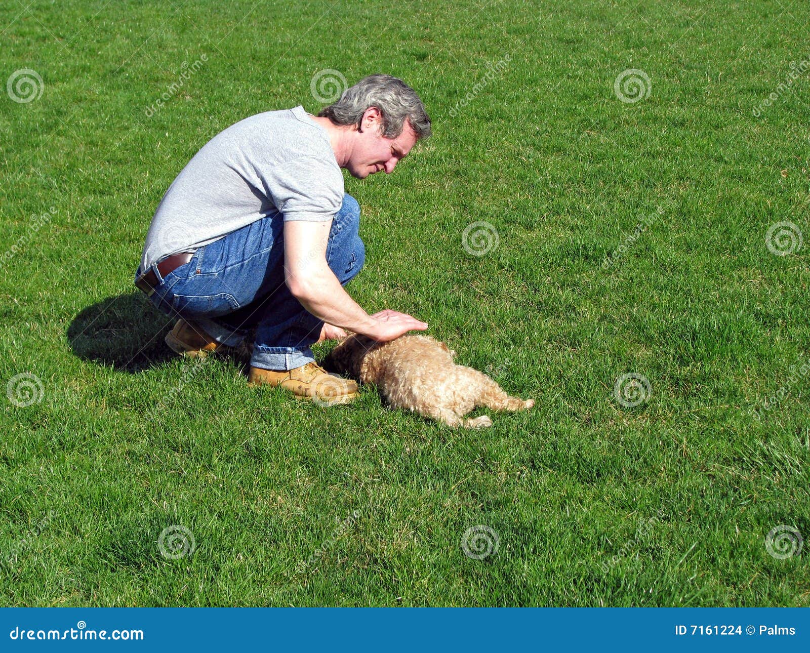Man and poodle stock photo. Image of friendship, miniature - 7161224