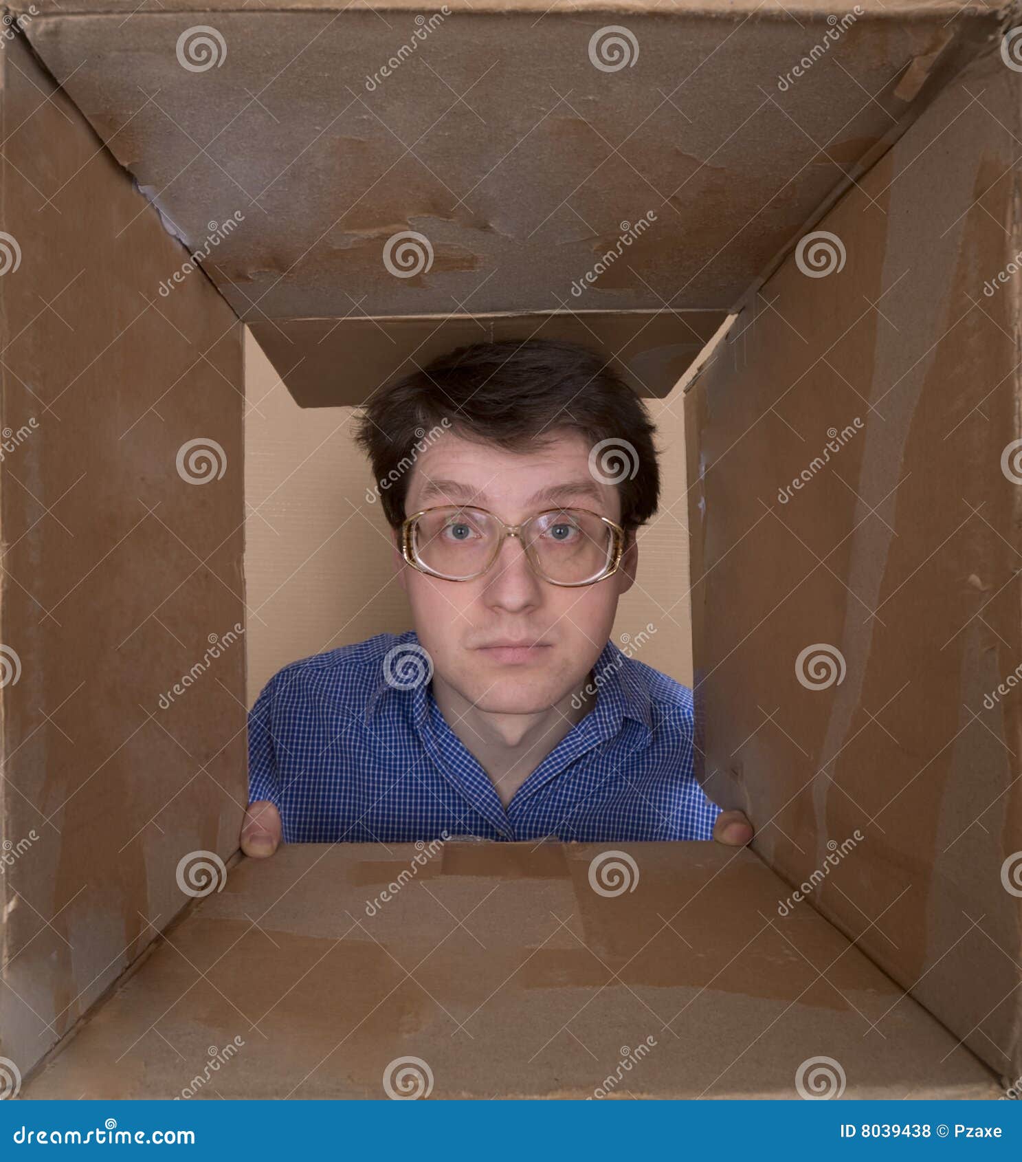 Man Portrait Inside Carton Box Stock Photo - Image of brown, look: 8039438