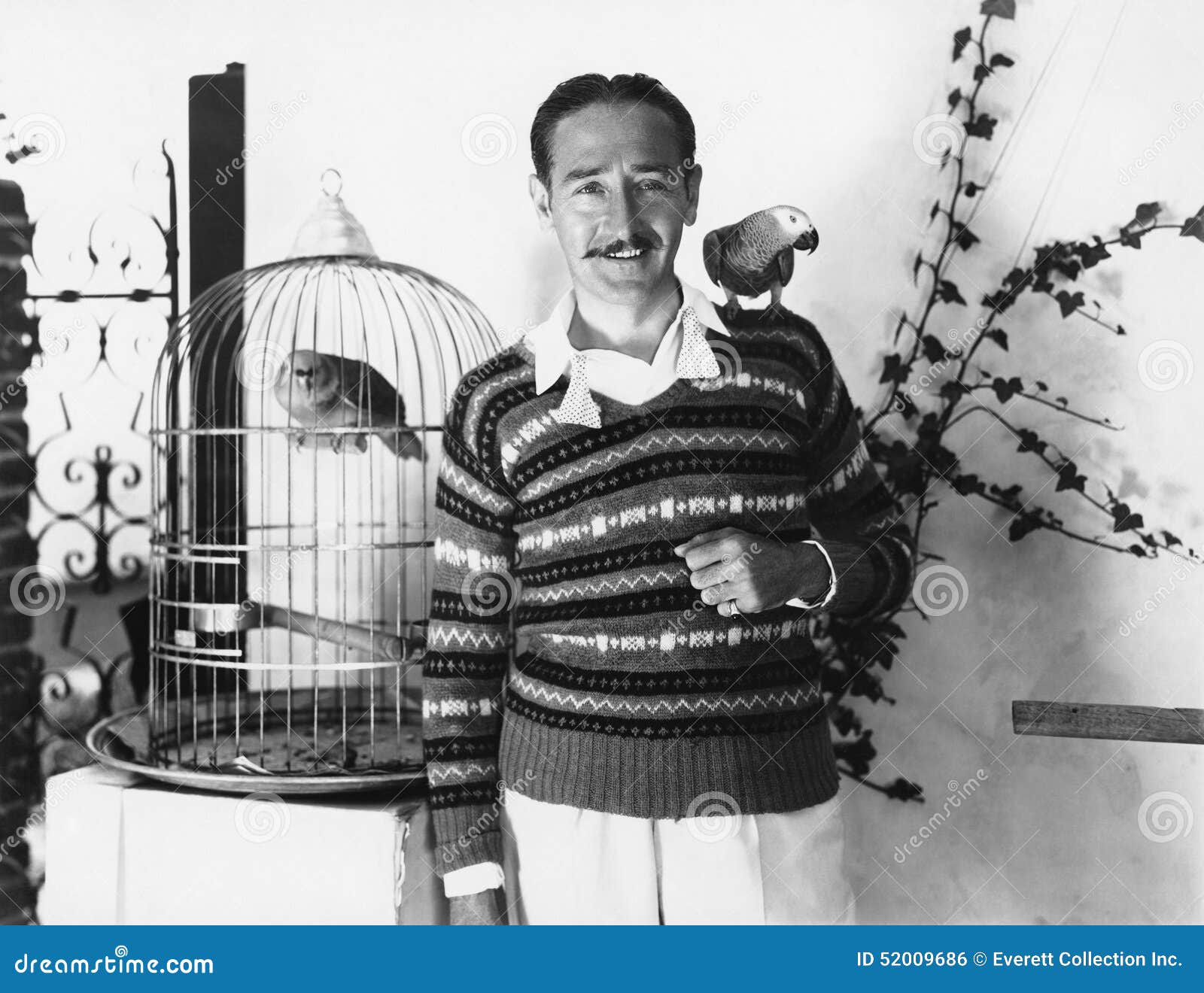 Man posing with pet birds stock photo. Image of indoor - 52009686