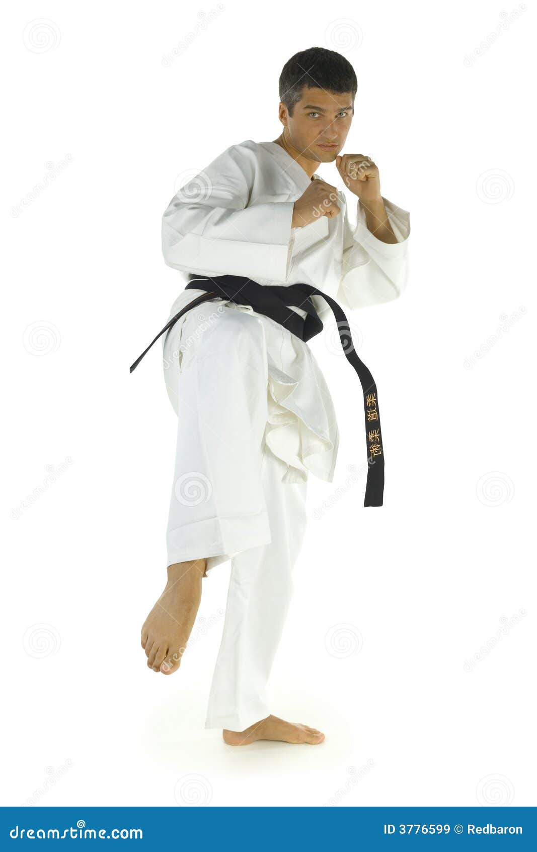 Man practicing karate stock image. Image of camera, front - 3776599
