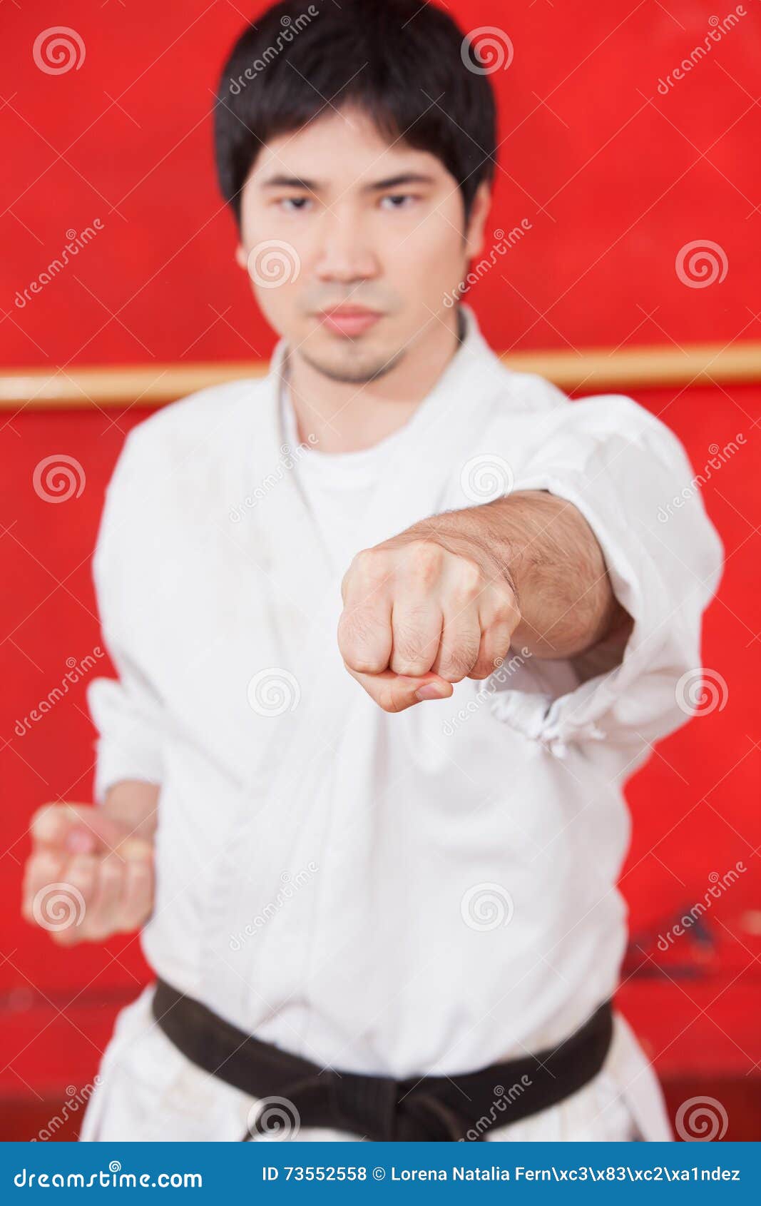 Man practicing karate stock photo. Image of combat, karateka - 73552558