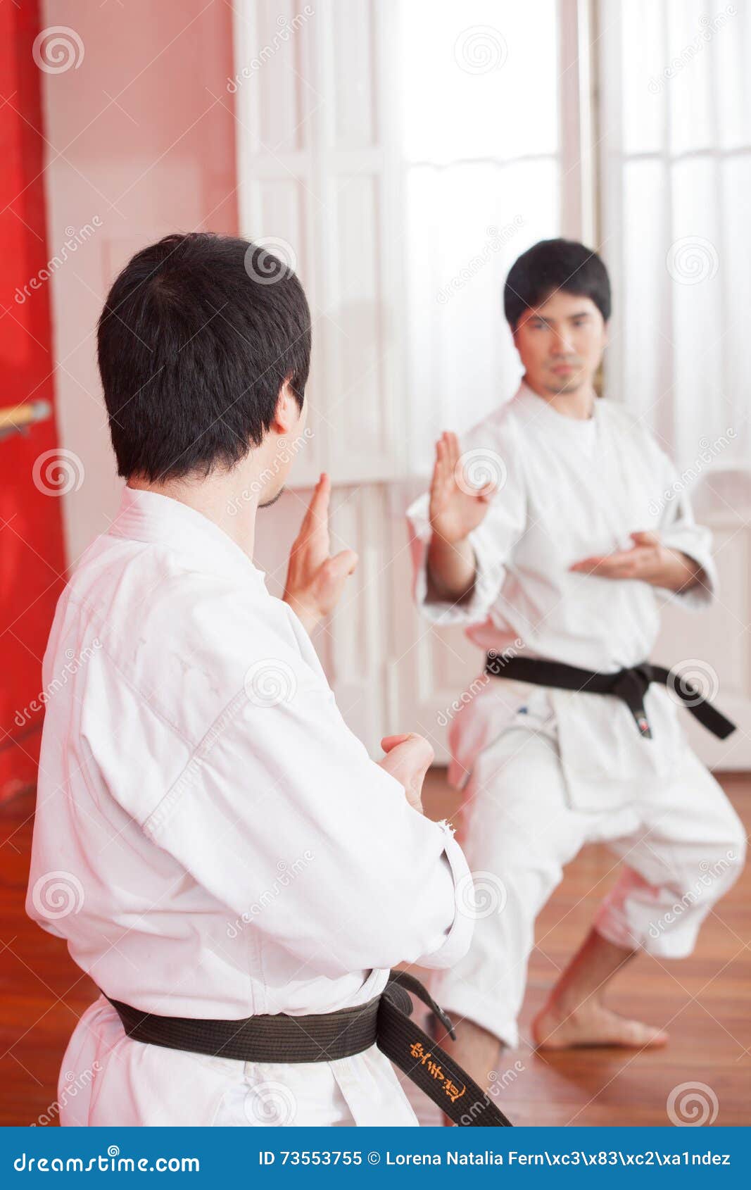 Man practicing karate stock image. Image of dojo, fitness - 73553755