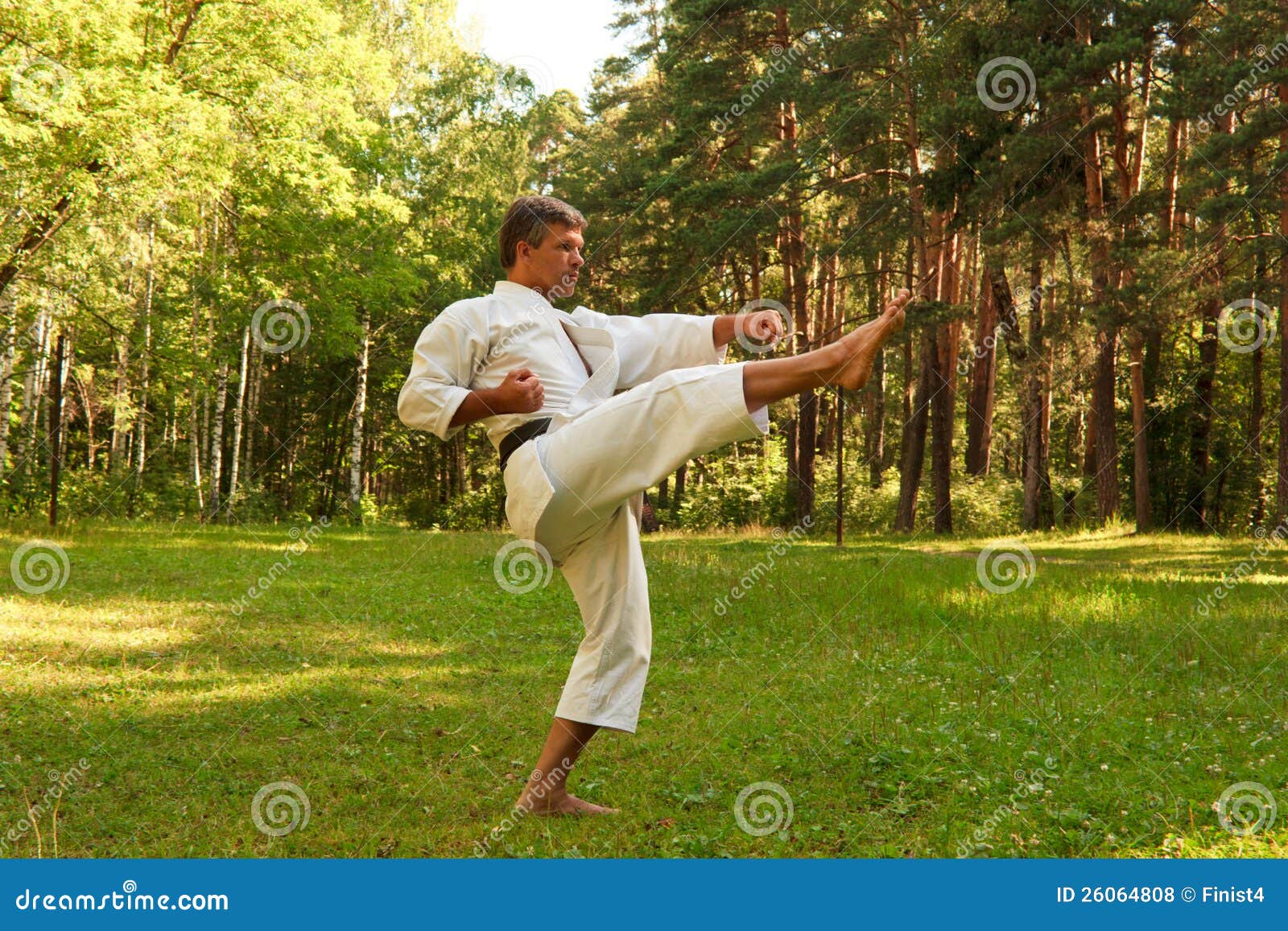 The Man Practicing Karate in the Park Stock Photo - Image of jiujitsu ...
