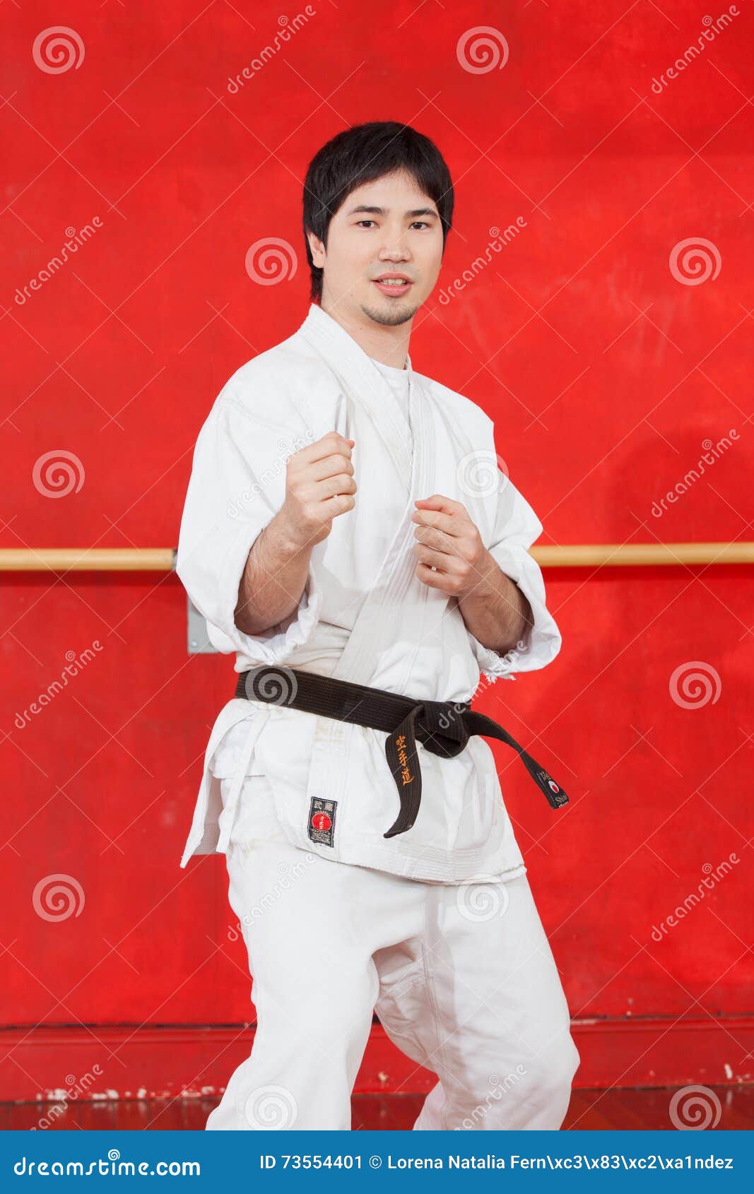 Man practicing karate stock image. Image of master, karateka - 73554401
