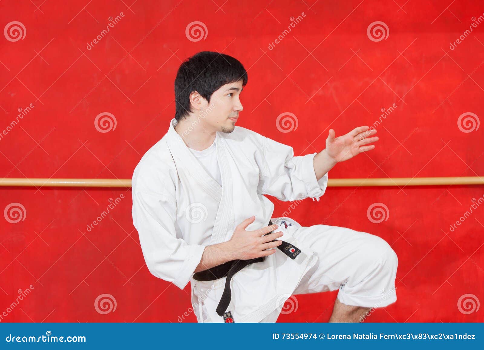 Man practicing karate stock photo. Image of arts, fight - 73554974