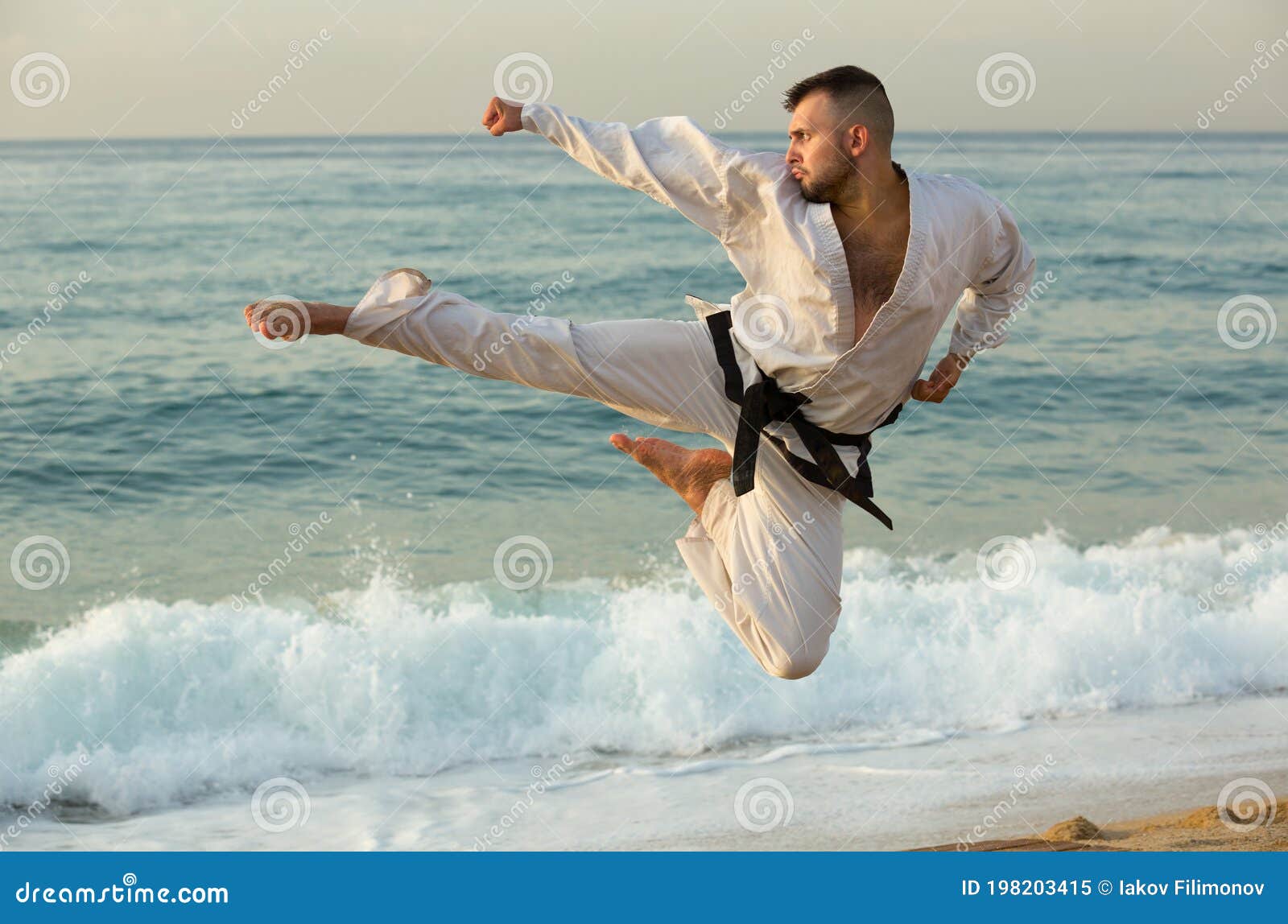 Man Practising Karate Kata Poses Stock Image - Image of activity, arts ...