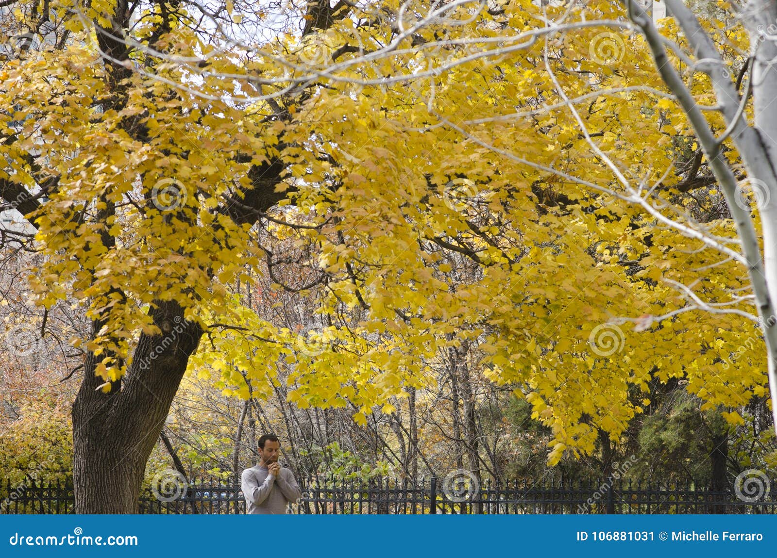 Man Praying Alone on a Fall Day. Stock Image - Image of park, ideas ...