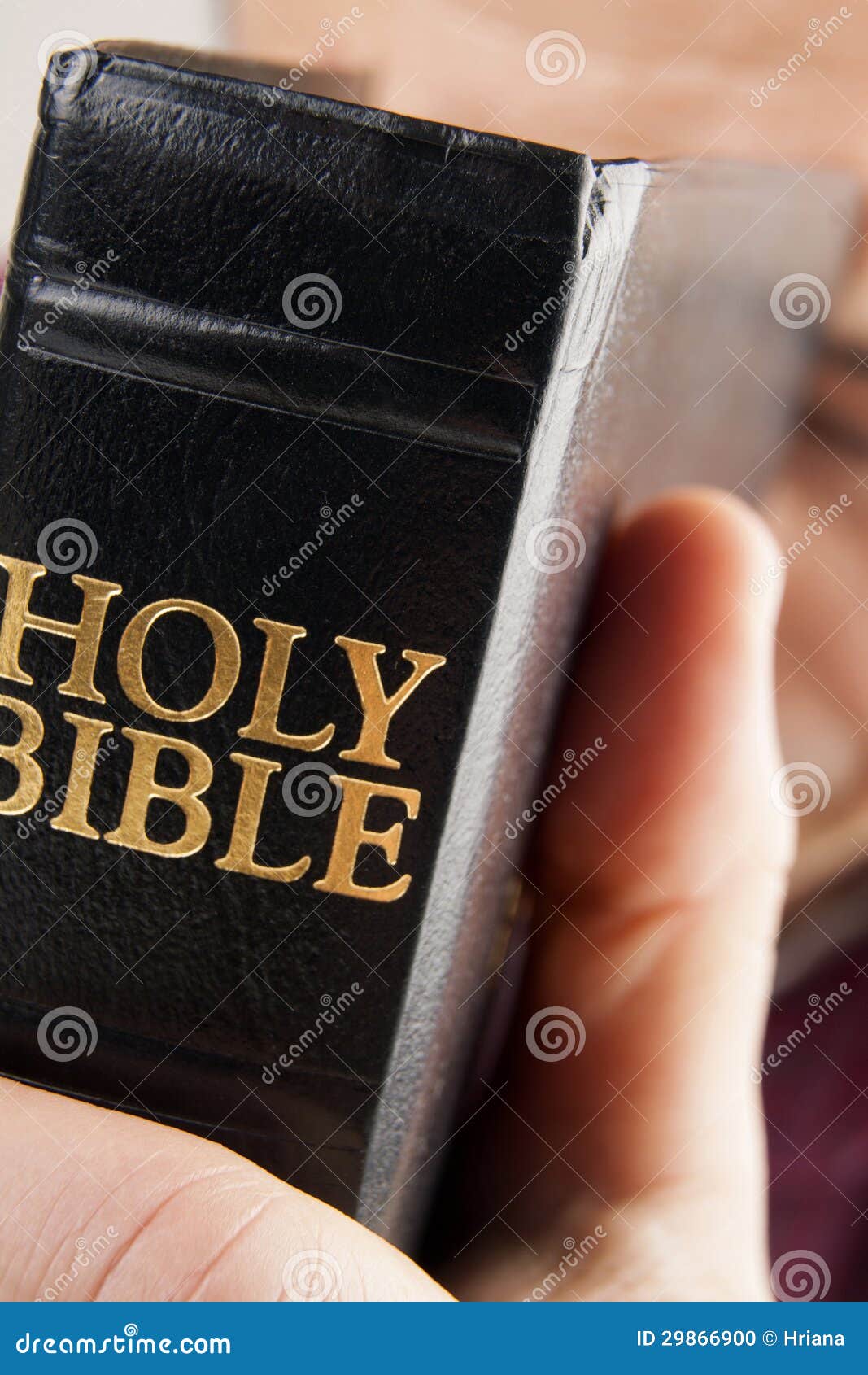 Man Praying Holding the Bible Stock Photo - Image of male, believer ...