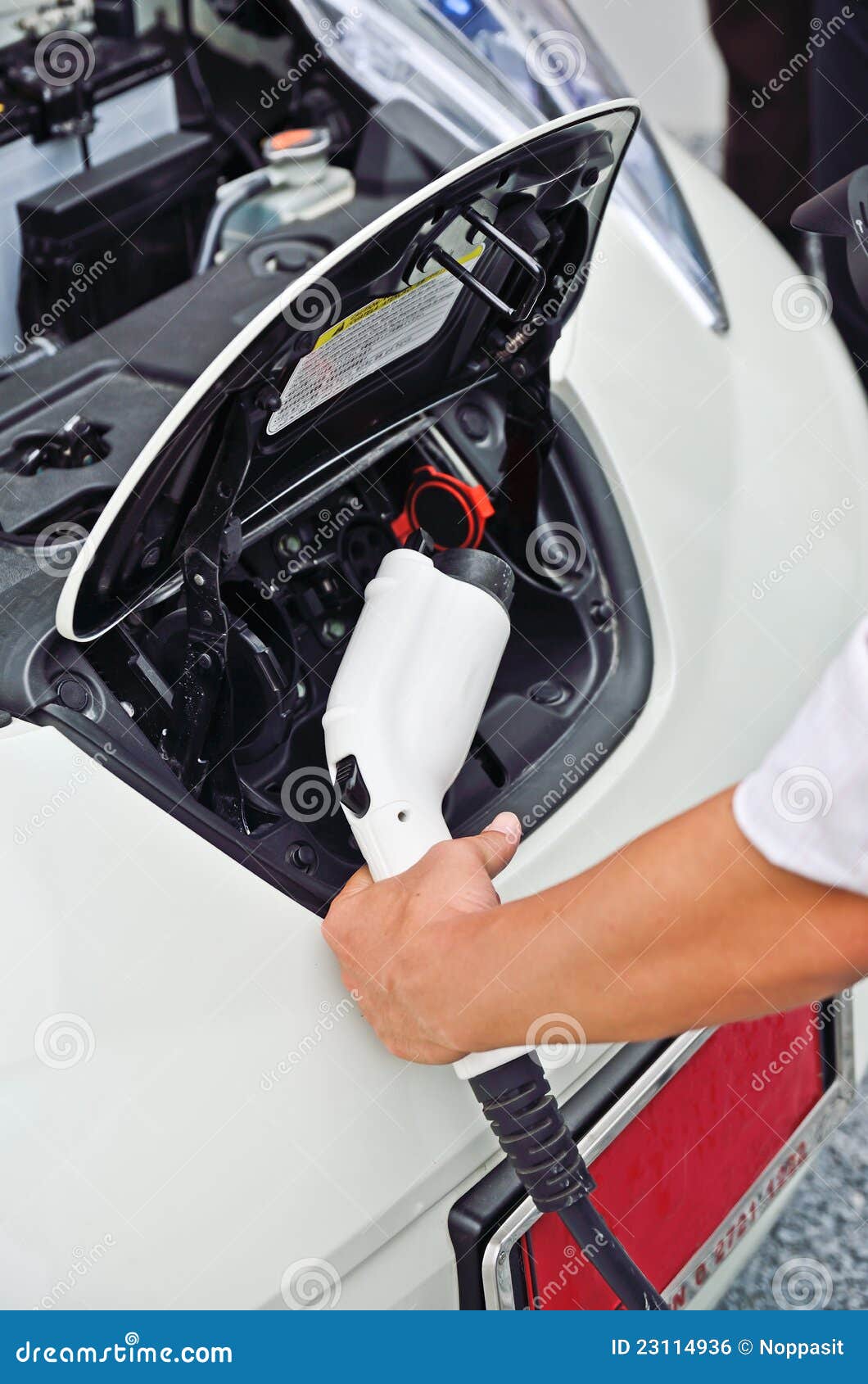 The Man Prepare To Plug-in Refill Electric Power Stock Photo - Image of ...