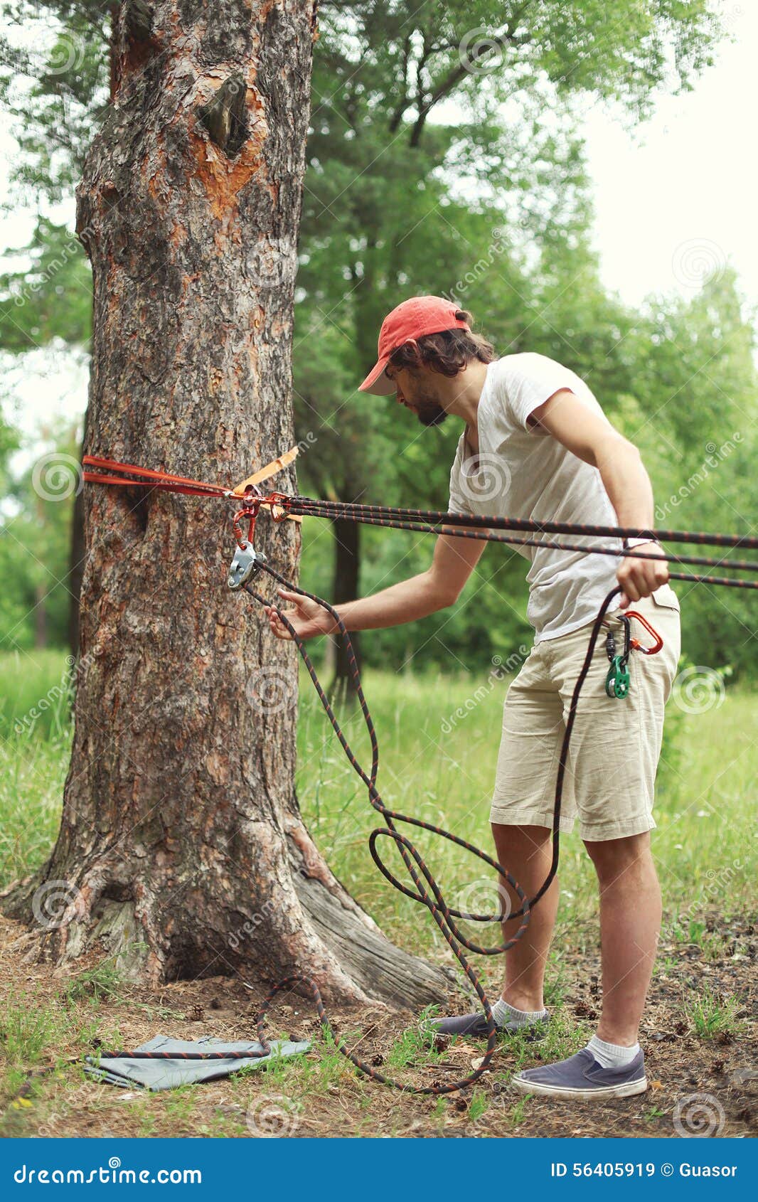 Man Prepares the Equipment Fixes Secures the Rope To the Tree Stock ...