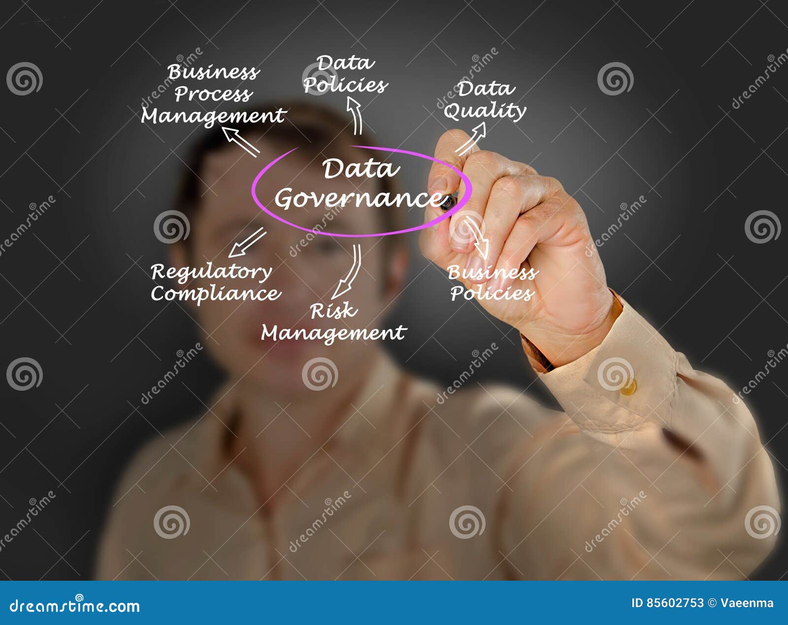 Diagram of Data Governance stock image. Image of developer - 85602753