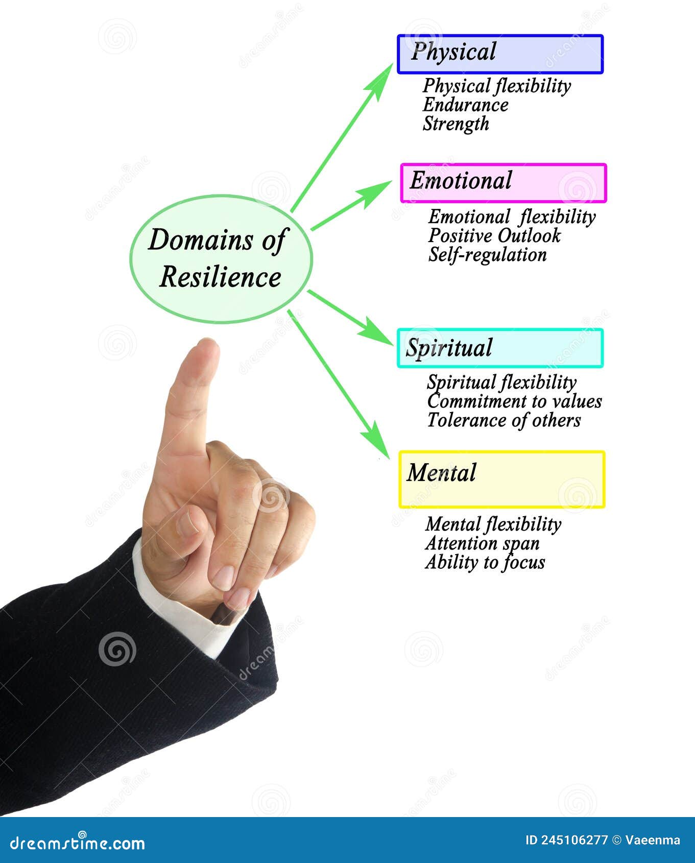 Presenting Domains of Resilience Stock Image - Image of emotion ...