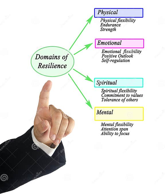 Presenting Domains of Resilience Stock Image - Image of emotion ...
