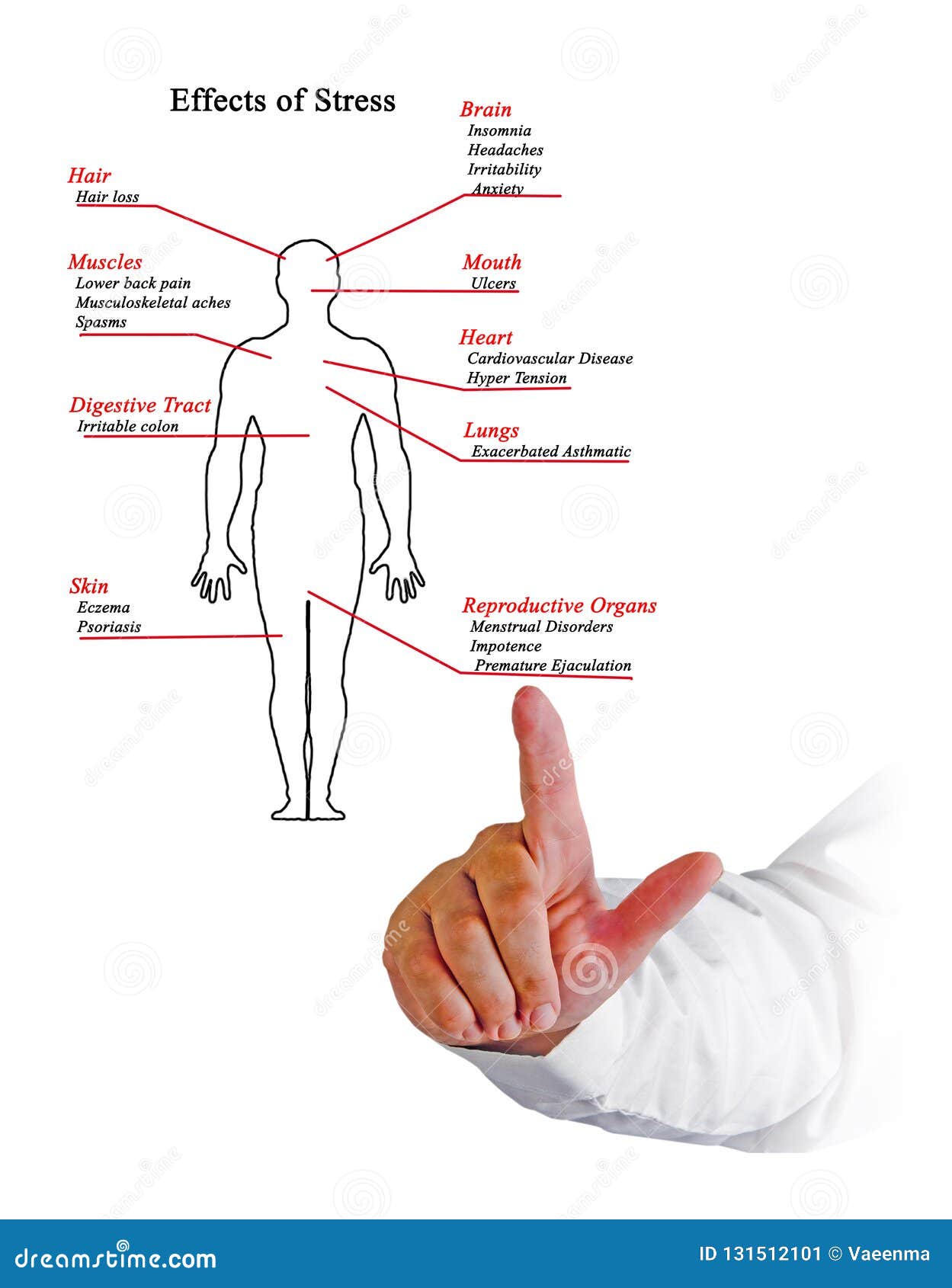 Effects of Stress stock image. Image of expert, eczema - 131512101