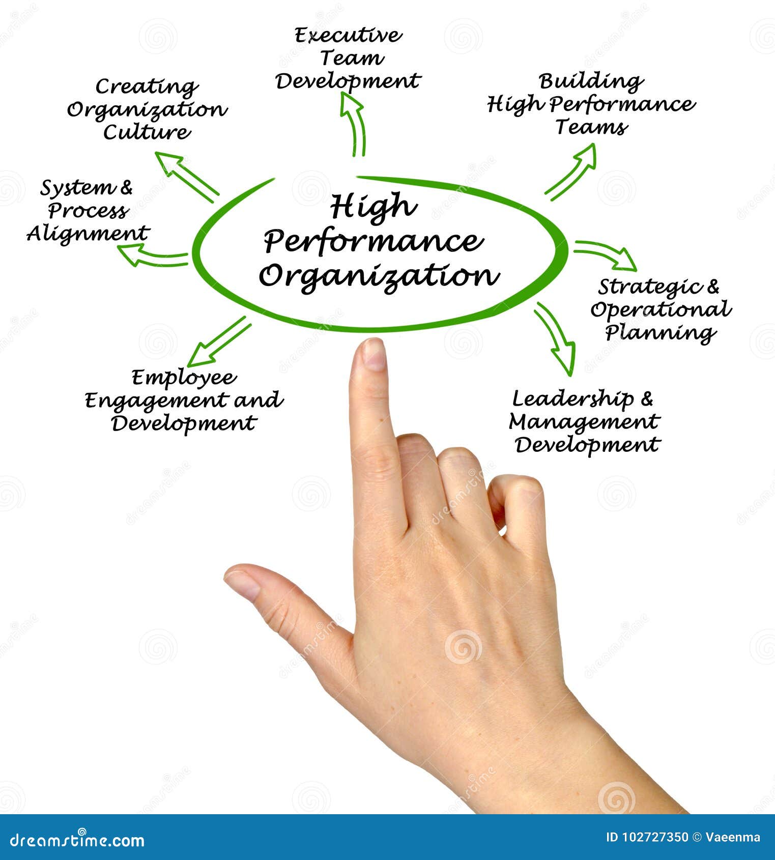 High Performance Organization Stock Photo - Image of autonomy, leader ... High Performance Organization Stock Photo - Image of autonomy, leader ...