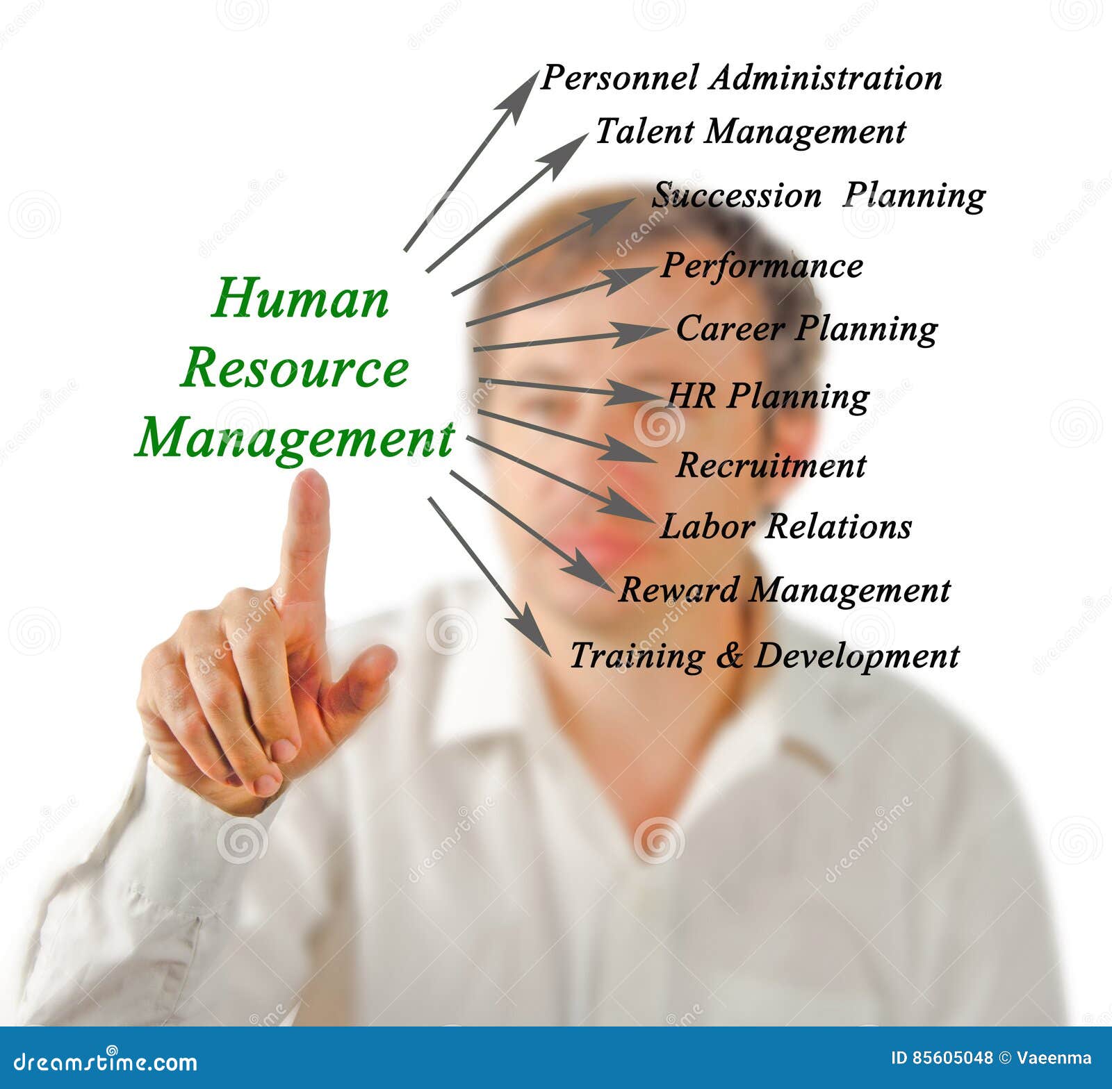 Human Resource Management stock photo. Image of labor - 85605048