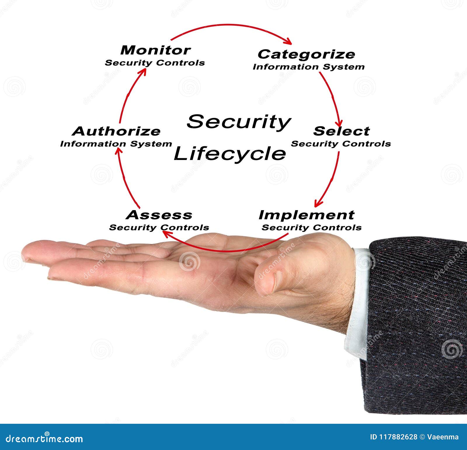 Security Life Cycle stock photo. Image of expert, controls - 117882628