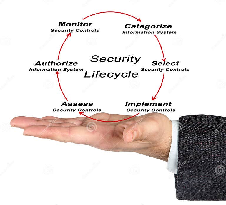 Security Life Cycle stock photo. Image of expert, controls - 117882628