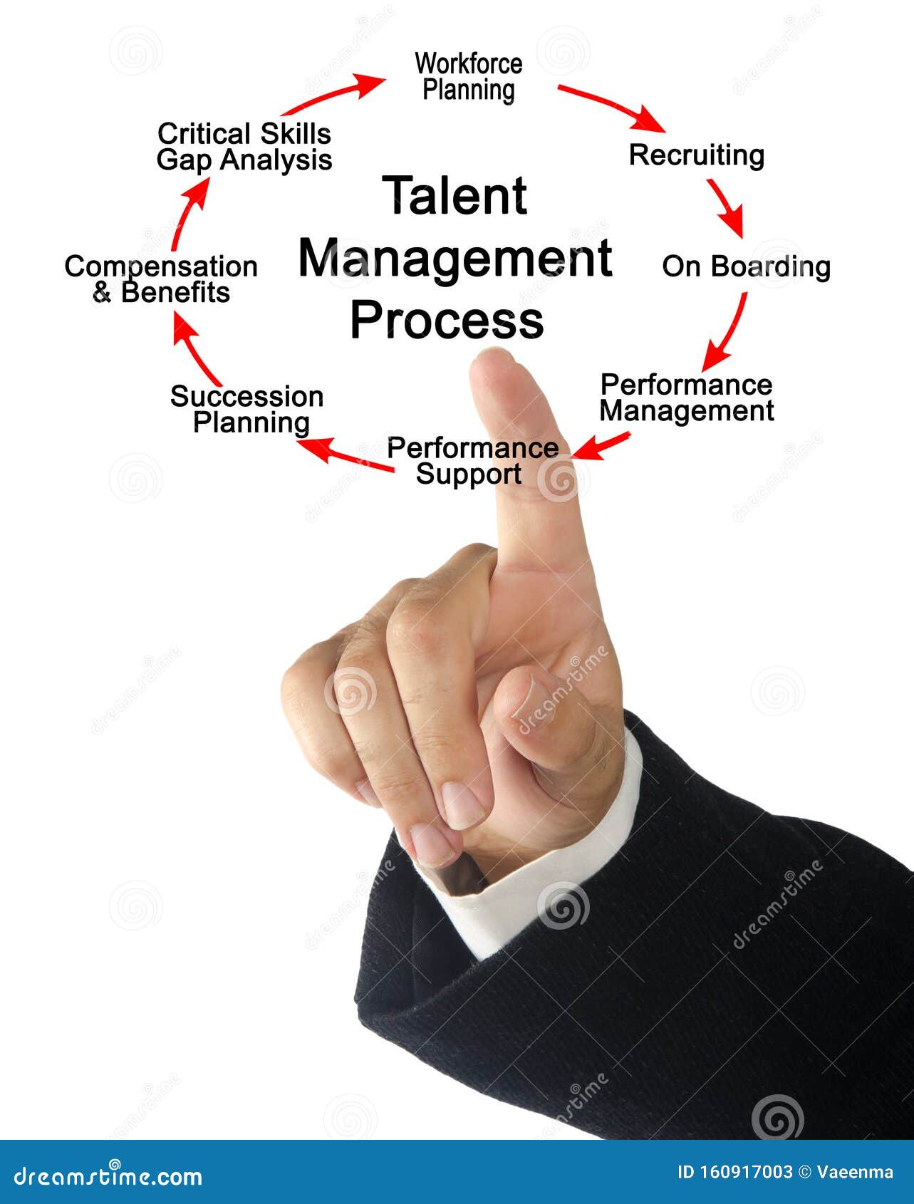 Presenting Talent Management Process Stock Image - Image of manager ...
