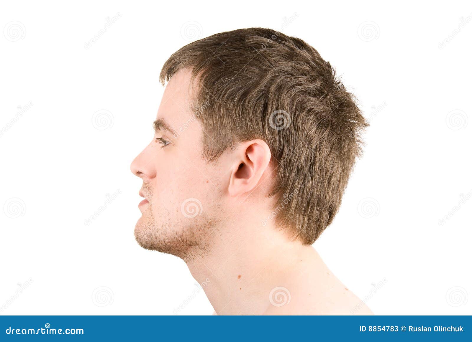 Man profile portrait stock image. Image of adult, casual - 8854783
