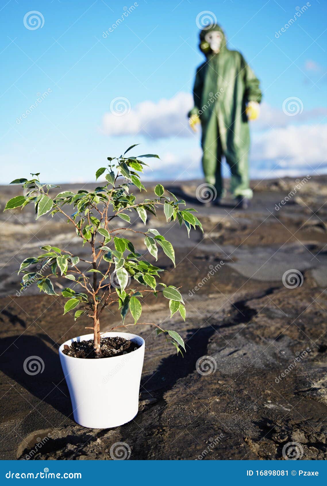 Man in Protective Suit Near Green Plant Stock Image - Image of overalls ...