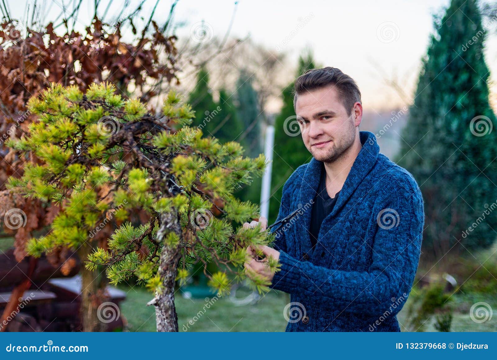 Man Pruning Japanese Bonsai Tree Stock Photo - Image of tree, hand ...