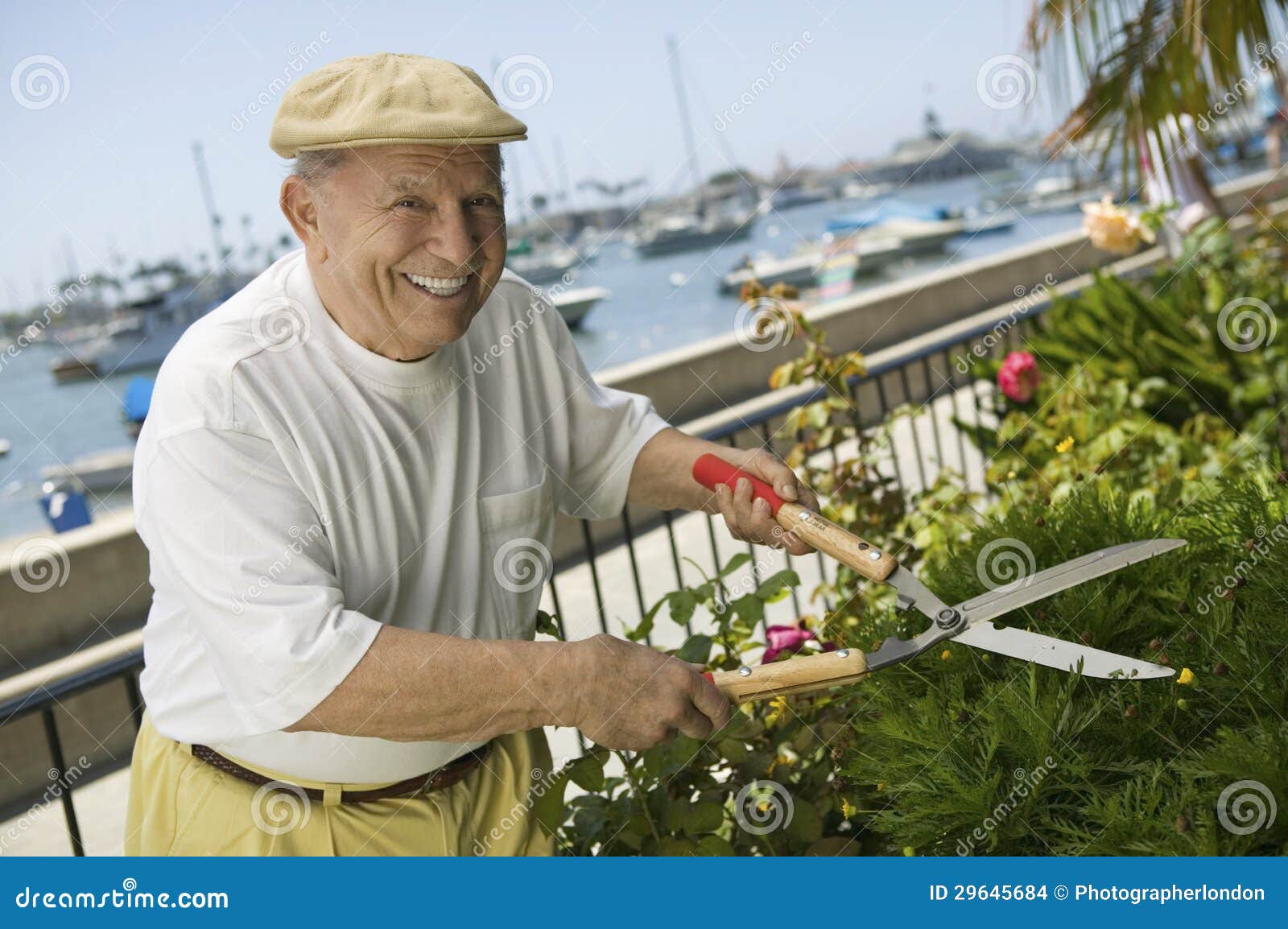 Man Pruning Plants stock photo. Image of lifestyle, pruner - 29645684