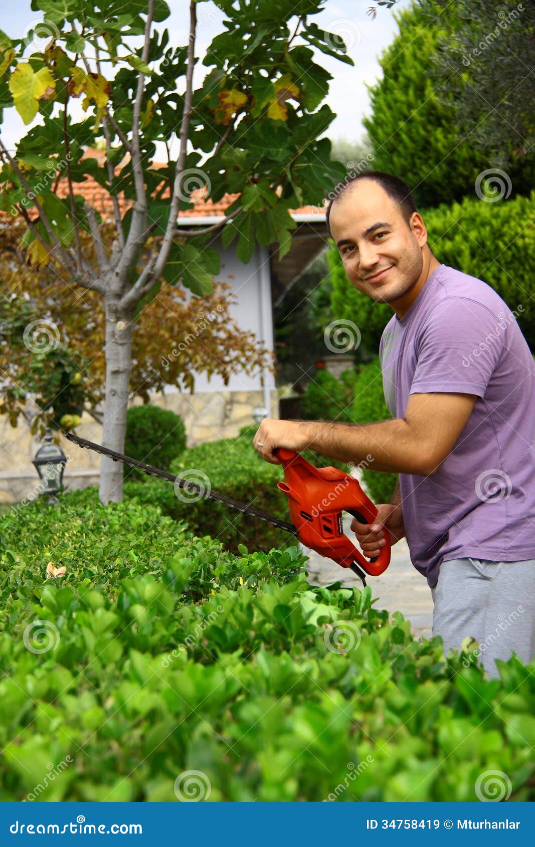 Man Pruning Shrub with Tool in Garden Stock Image - Image of shrubs ...