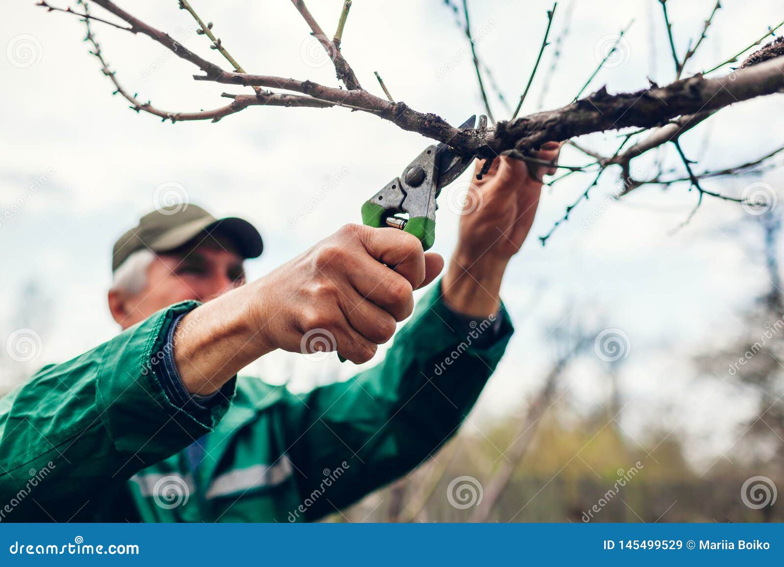 749 Clippers Cut Branches Stock Photos - Free & Royalty-Free Stock ...