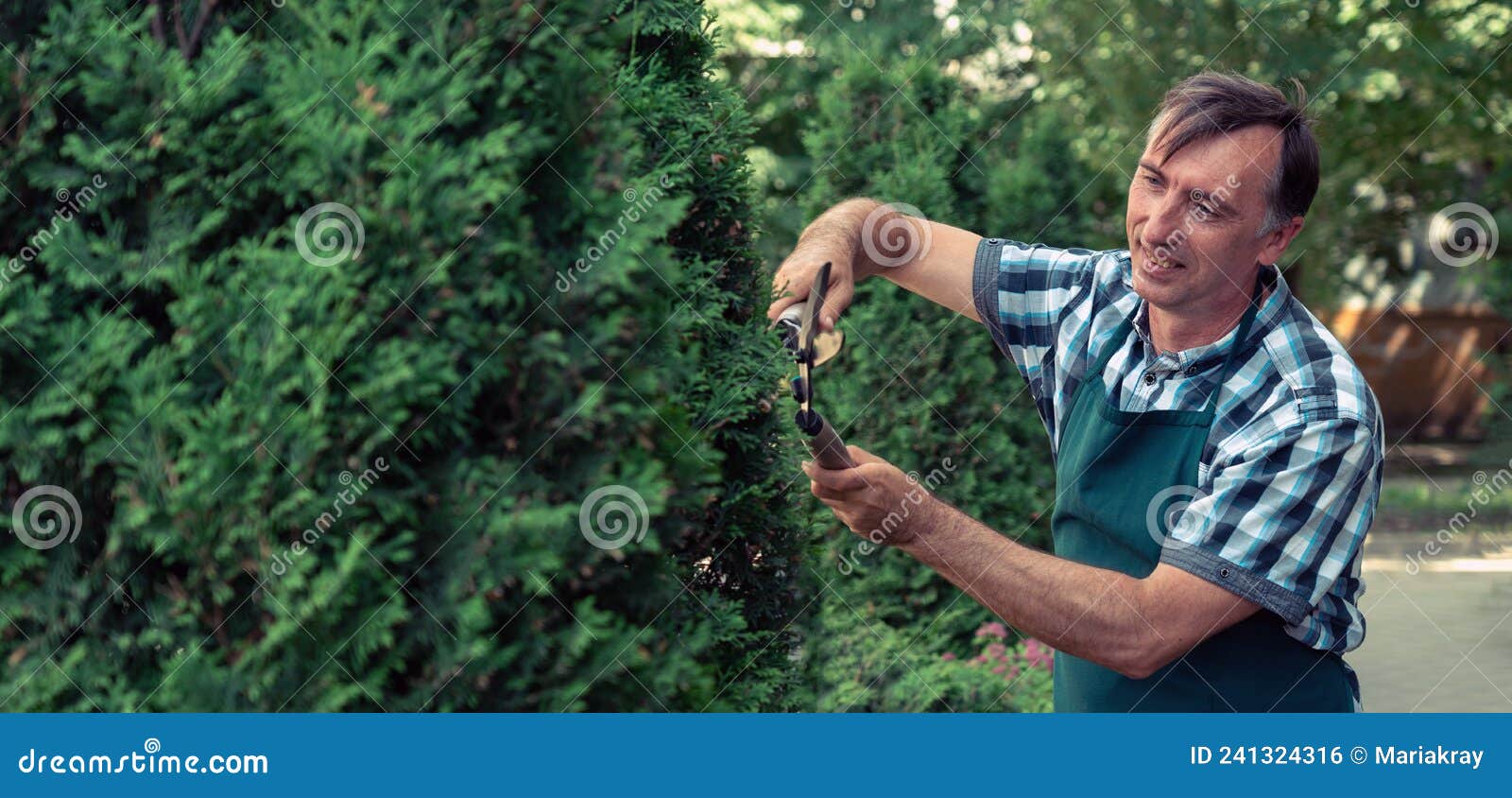 Man Pruning Tree with Clippers. Male Farmer Cuts Branches in Spring ...