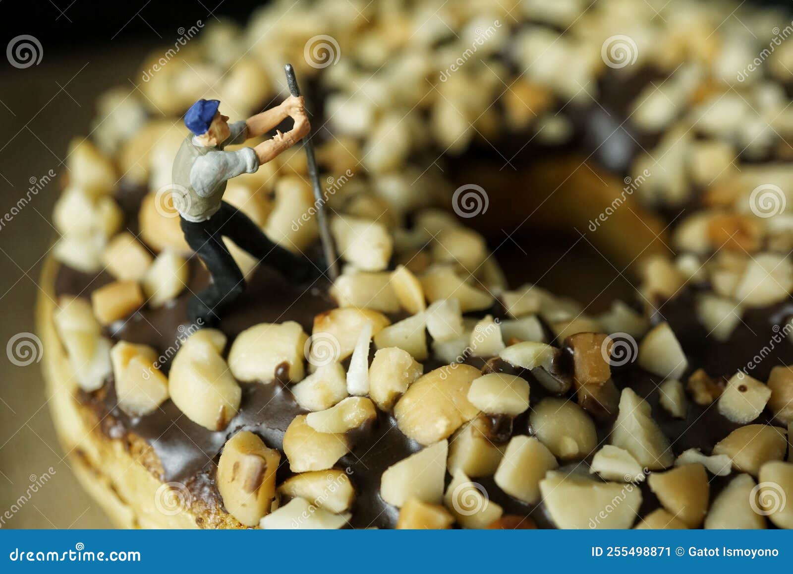 A Man is Prying Nuts on a Donut Stock Image - Image of miniatures ...