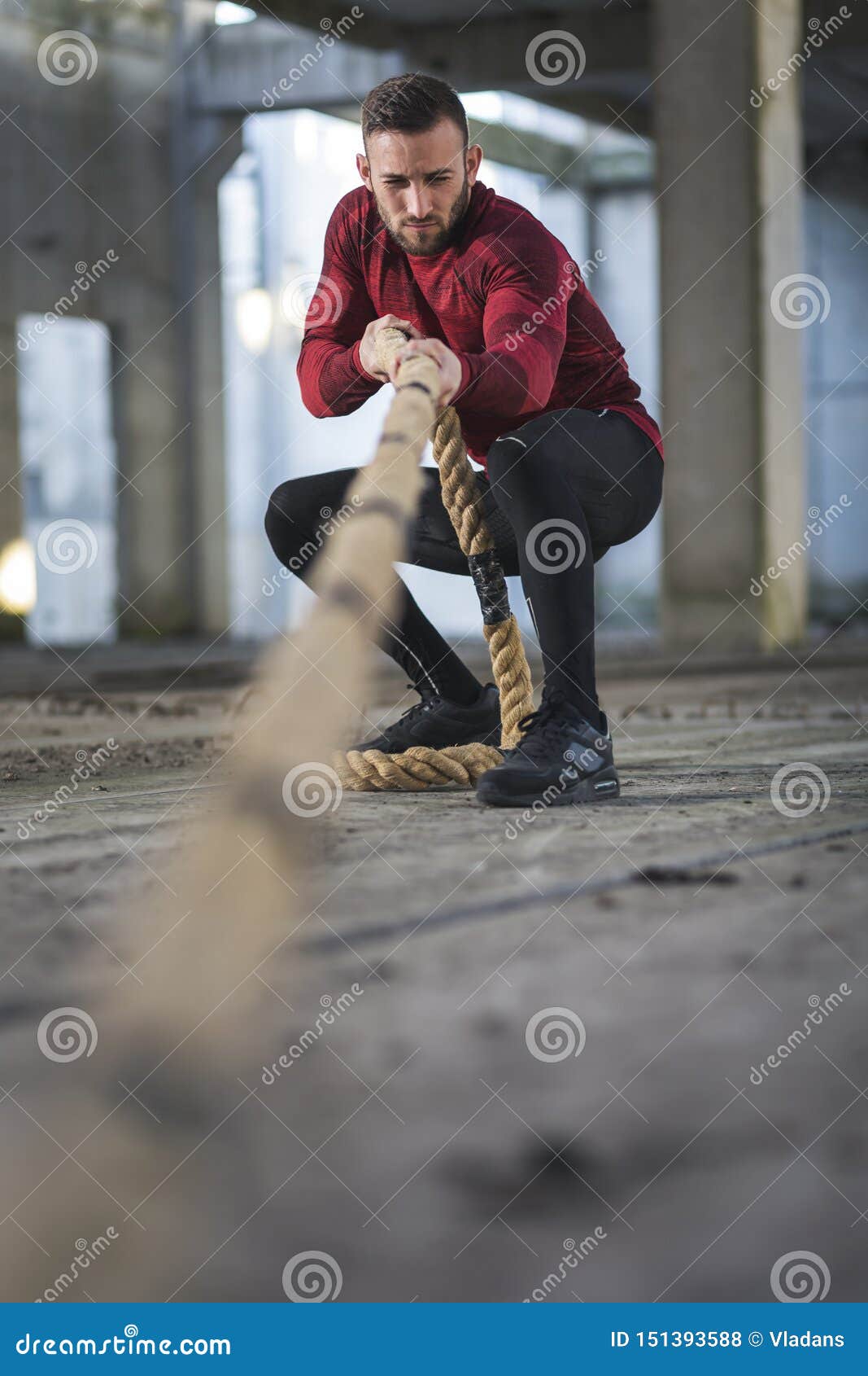 Man pulling battle ropes stock photo. Image of battle - 151393588