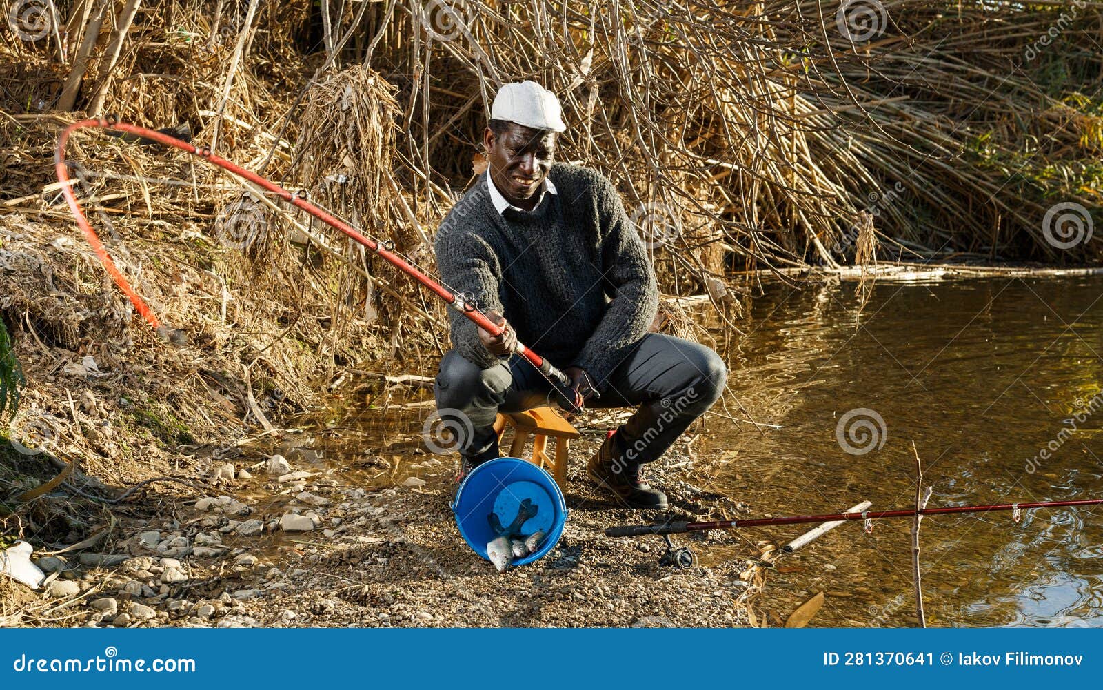 Man Pulling Fish with Rods on River Stock Image - Image of park, nature ...